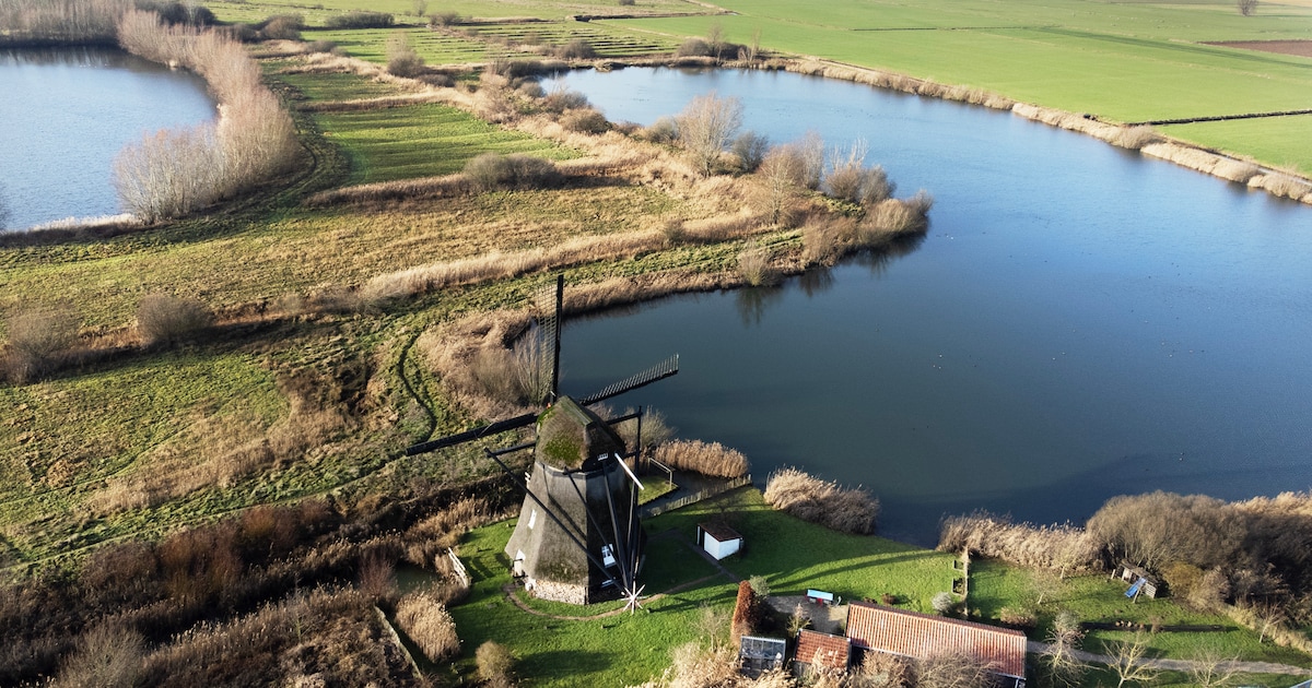 Steendert: meer bos of behoud open landschap | West Betuwe | De ...