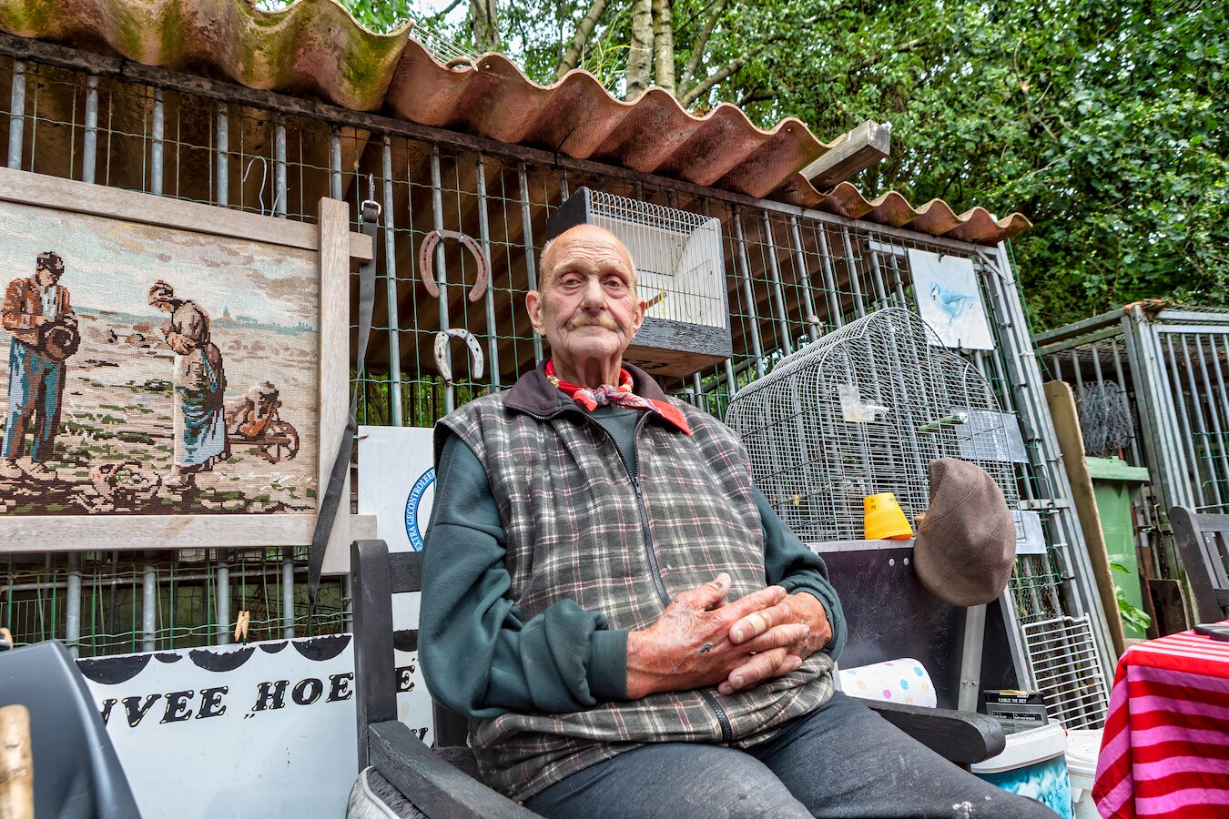 Ook laatste drie paarden van Toon (66) weggehaald in Wagenberg: ‘Nu heb ...