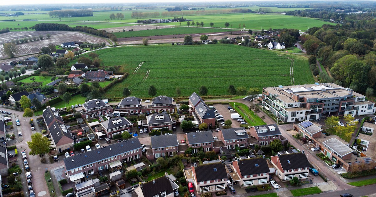 Beusichem doet appel op de koning voor betaalbare woningbouw: ‘Toon u ...