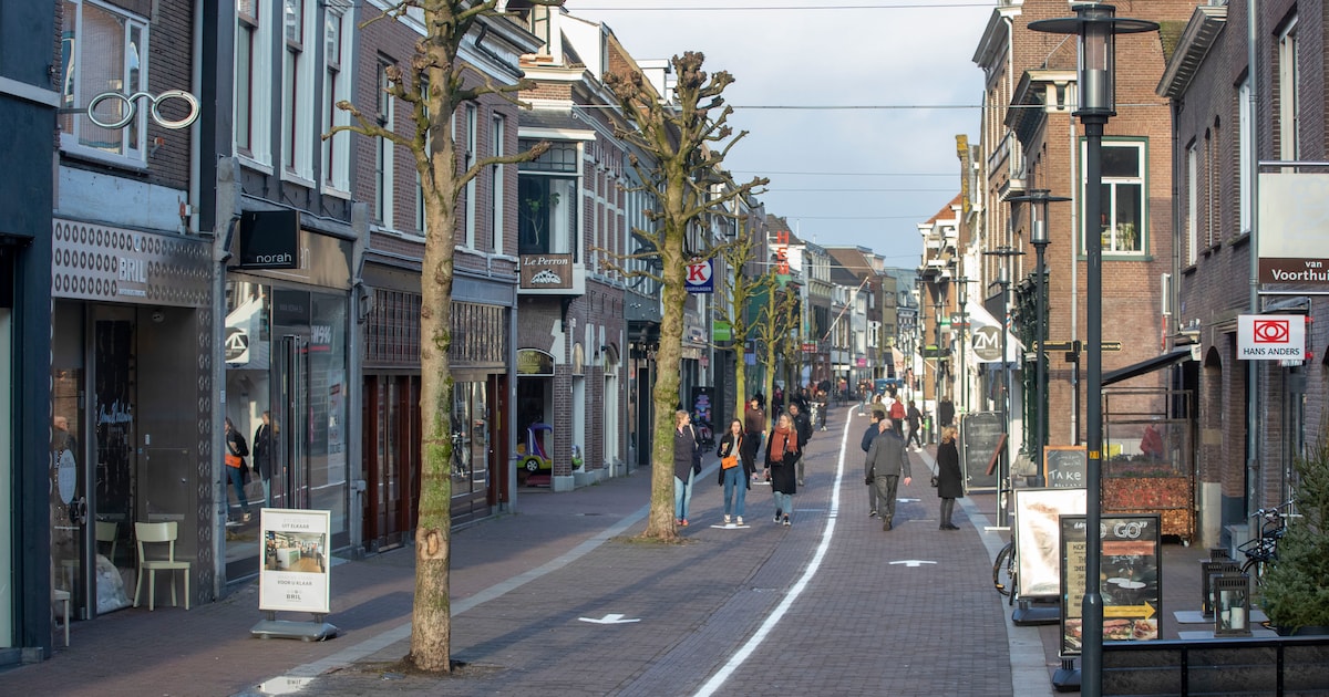 Stop de onnozele halzen zonder empathisch vermogen | Regio | De ...