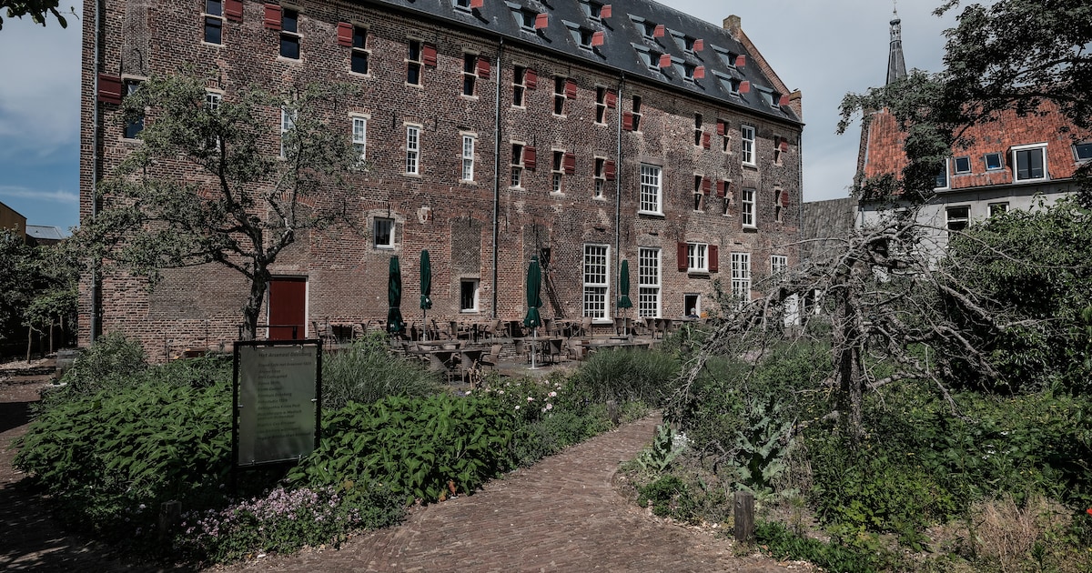 Doesburg positief over ambitieus plan voor Arsenaal: elf appartementen ...