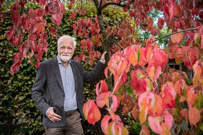 ‘Ophouden met cultuur? Over mijn lijk!’: Perspectief-voorzitter Rutten ...