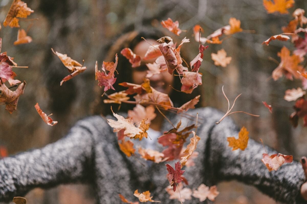 Van winterse markten tot naar het circus: 7 x Arnhemse weekendtips ...