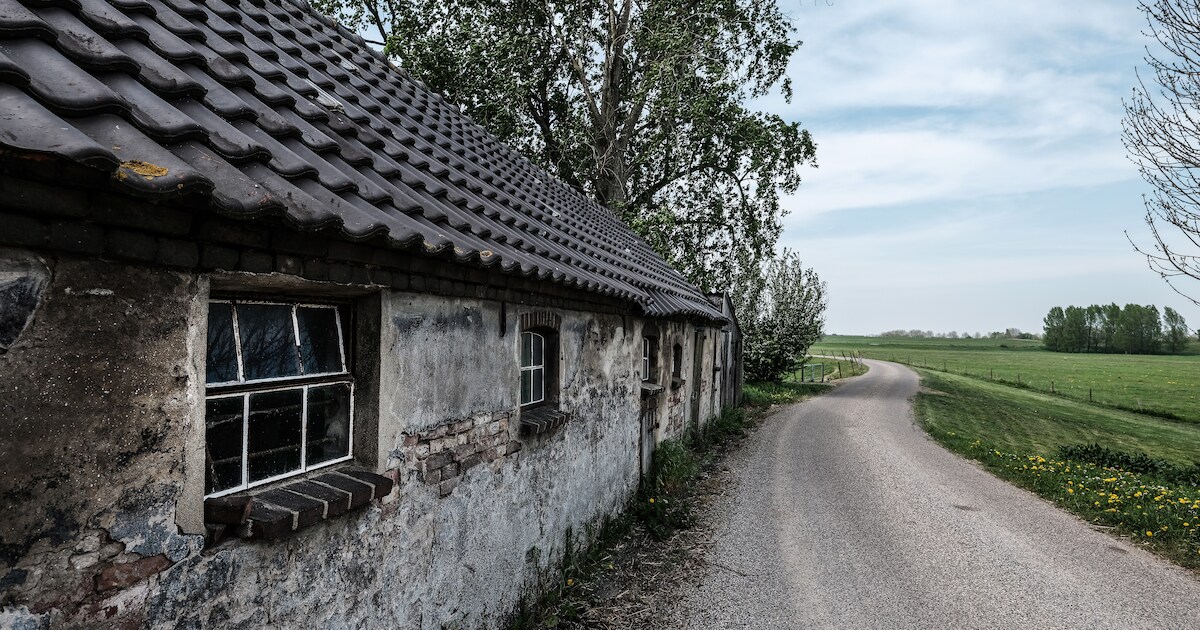 Het ooibos in de Geitenwaard moet het summum voor vogels worden ...