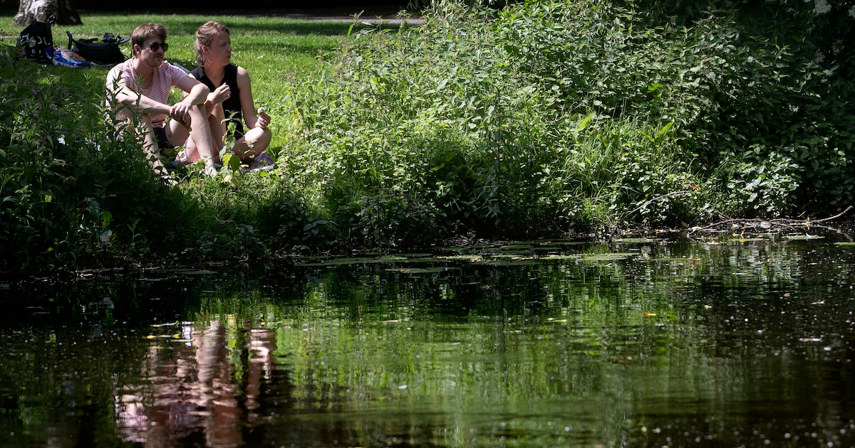 Trefpunt Groen Eindhoven: ‘Niet bouwen in groene gebieden. Punt ...