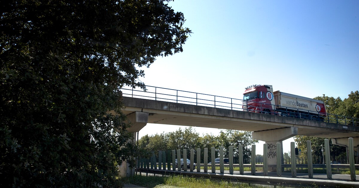 Geen aanpassingen nodig: viaduct Grote Bleek breed genoeg volgens Raad ...