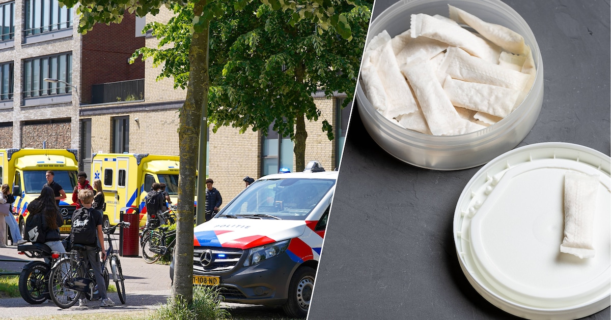 Wat is snus en hoe gevaarlijk is het? | West Betuwe | De Gelderlander.nl