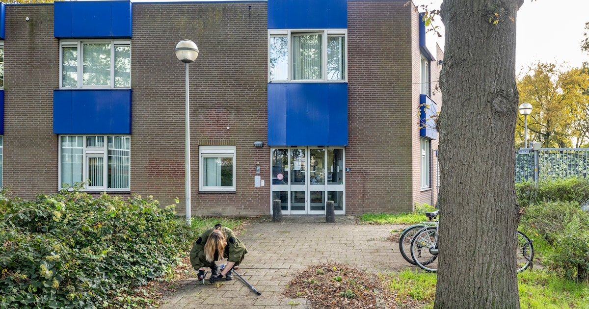 Er zijn mensen die nog geloven in het achterhaalde romantische beeld ...