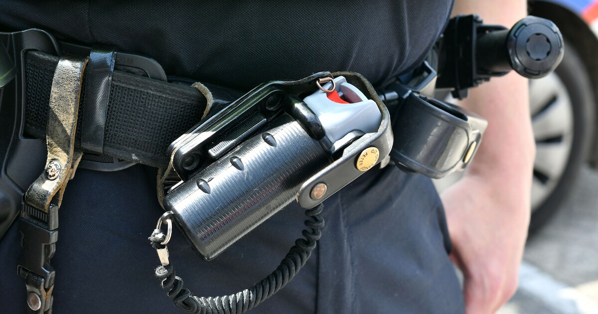 Agent ontslagen die onder invloed van alcohol mot kreeg met boa’s ...