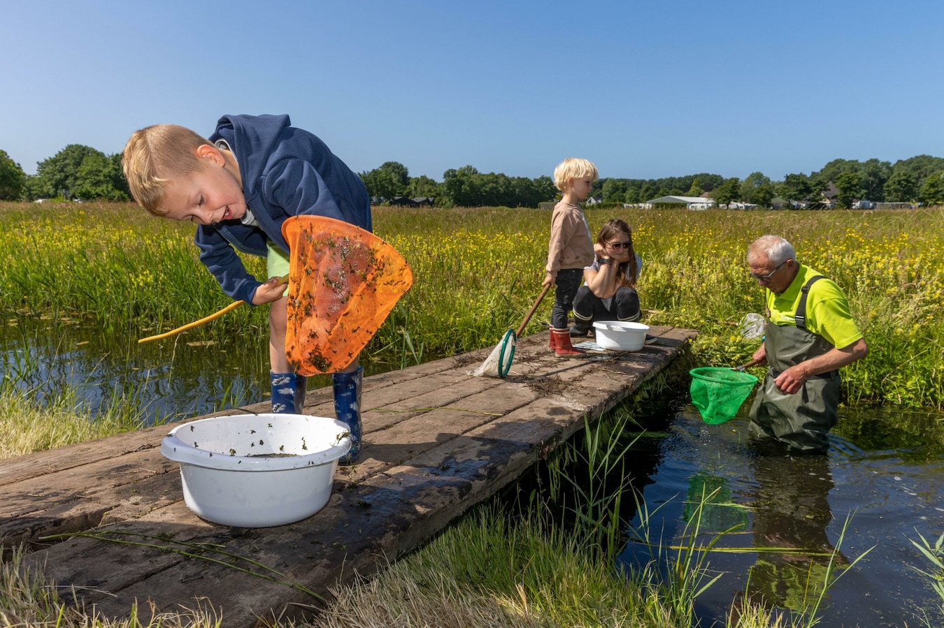 IVN houdt slootjesmiddag voor kinderen in Rozendaal | Foto ...