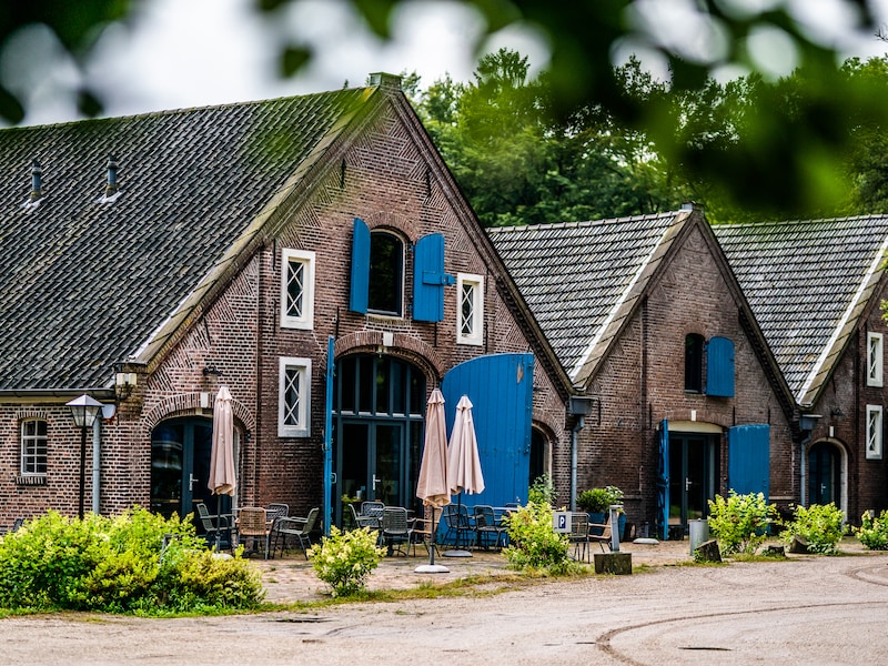 Dit is waarom iedereen naar Clamato wil: mezcal, mole en een ambiance ...