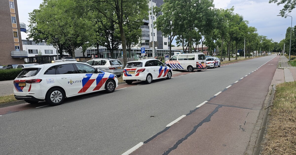 Groepen jongeren met elkaar op de vuist, twee jonge vechtersbazen ...