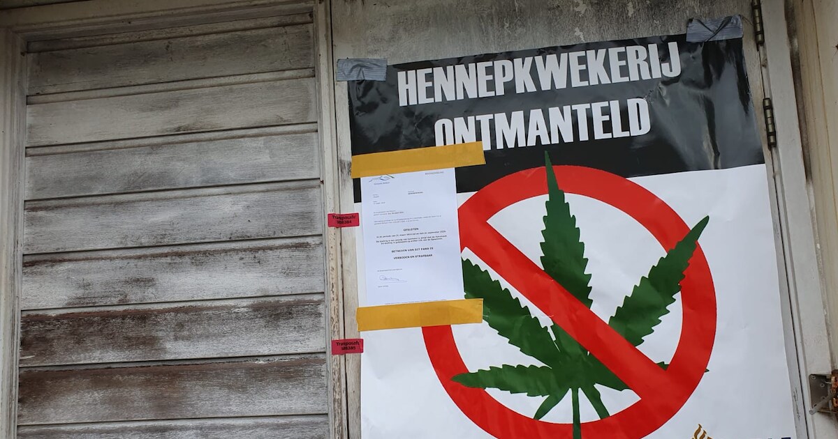Burgemeester sluit bedrijfspand na oprollen hennepkwekerij: ‘We tolereren geen criminele ...
