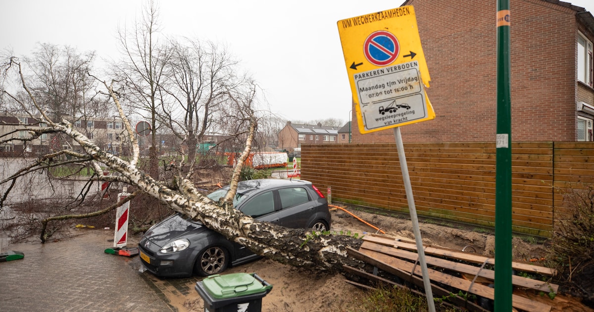 Auto ligt al drie dagen onder boom door storm Eunice: ‘Andere zaken ...