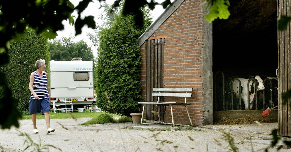 Proef met minicampings: ‘Ze mogen nu ook in het najaar gasten ontvangen ...