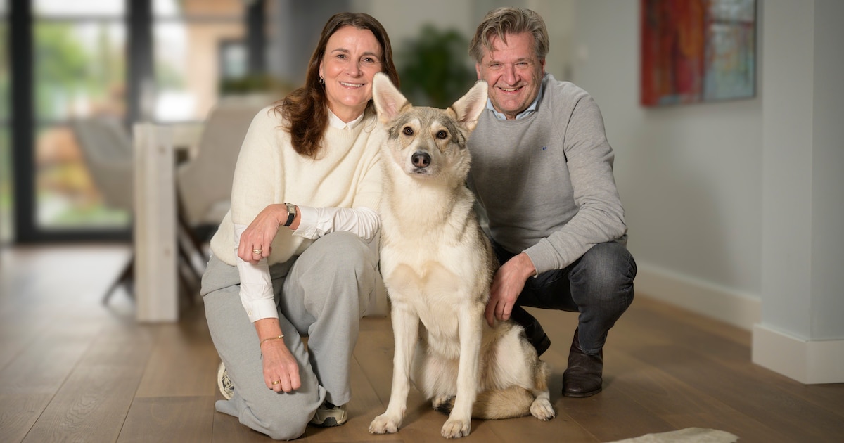 De hond van Thomas en Annette is net een wolf: ‘We kunnen haar niet ...