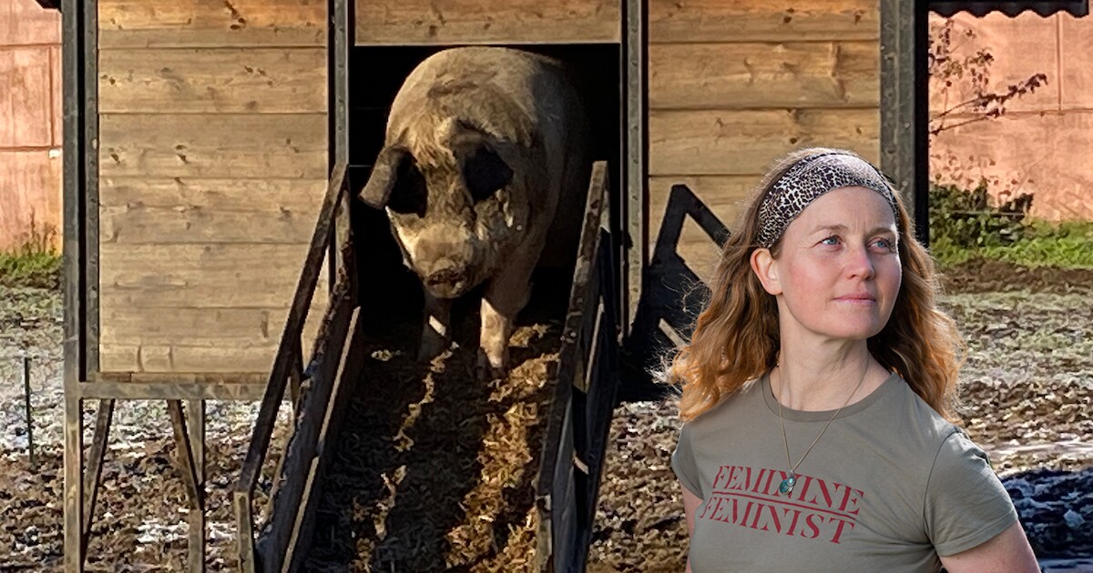 Elsje is overleden, ons iconische varken: wat gaan we haar missen ...