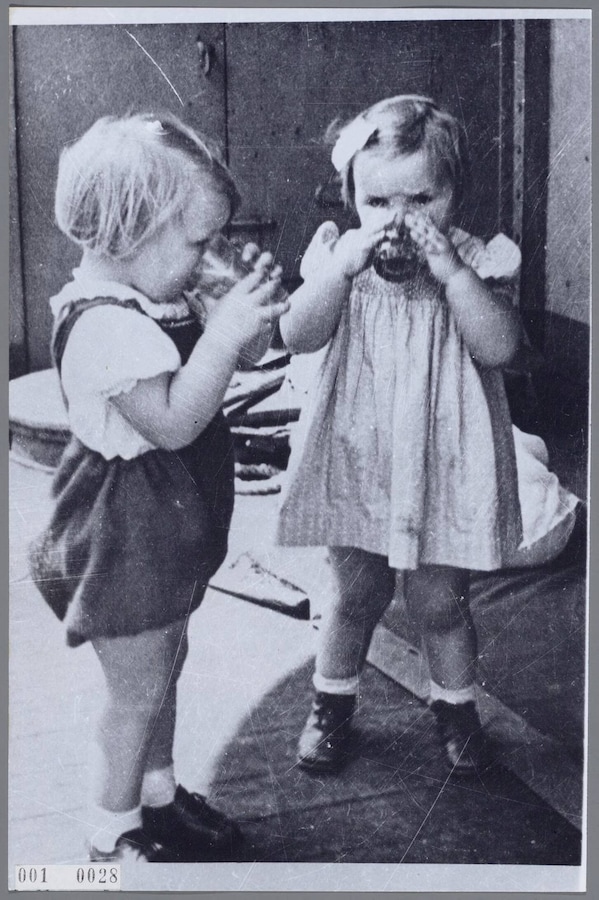 Een glas wijn op de tribune en thuis een drukke papegaai: zo ziet de ...