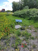 Livia (13) koos voor zelfdoding, nu is haar monument vernield: haar ouders zijn boos en ...