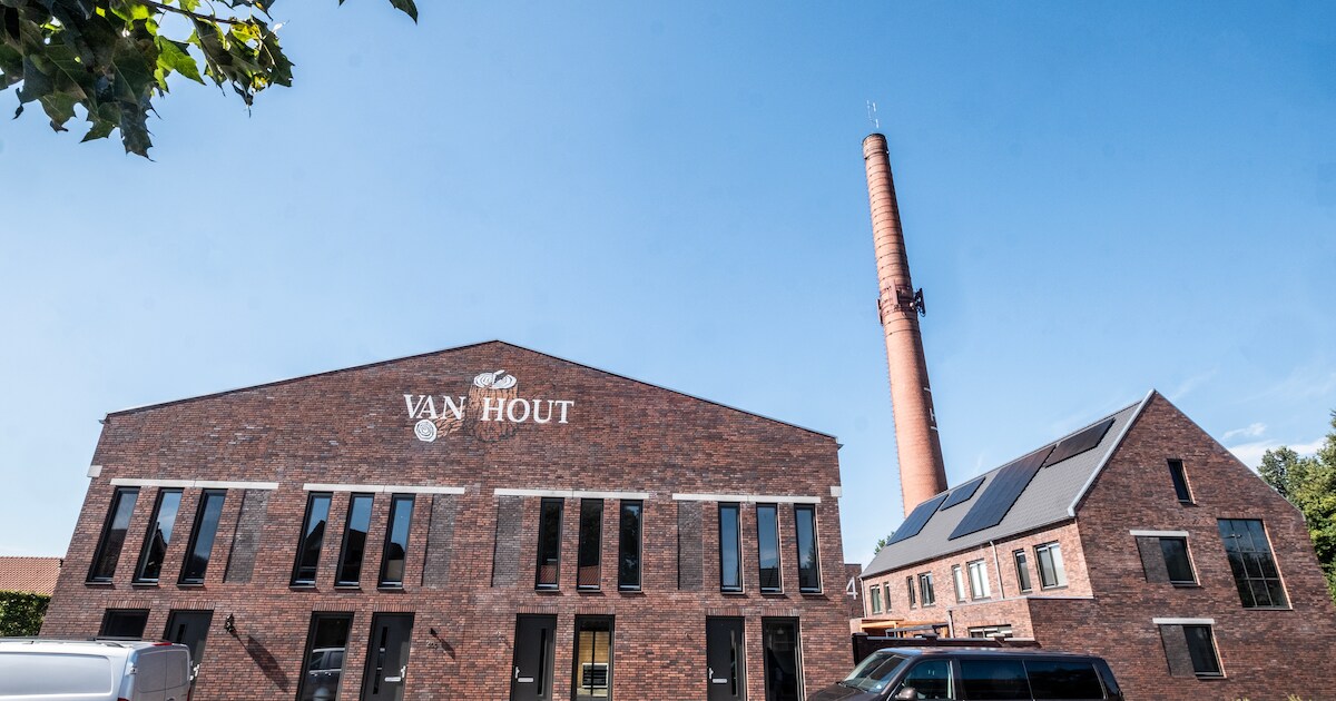 De dorpsgrapjes, de skyline, de voetbalclub: het verhaal van een ...