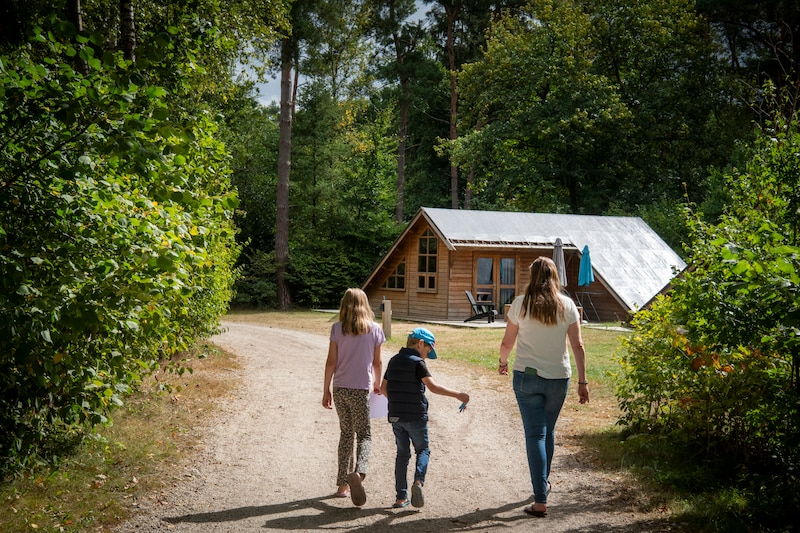 Een weekje op de Veluwe wordt flink duurder, expert: ‘Alles bij elkaar ...