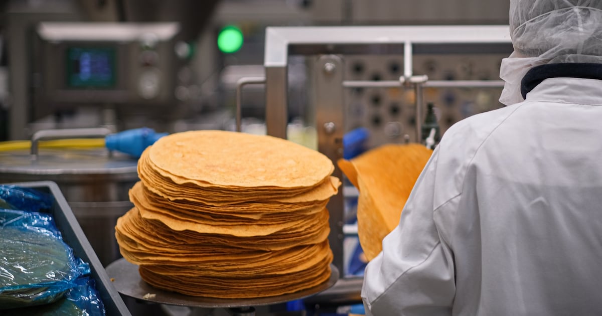 Broodjesfabrikant sluit deuren: 100 mensen verliezen baan | Binnenland | De Gelderlander.nl