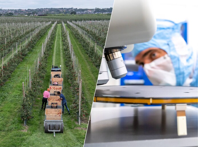 Zo veel arbeidsmigranten en meegereisde gezinsleden wonen er in Oost ...