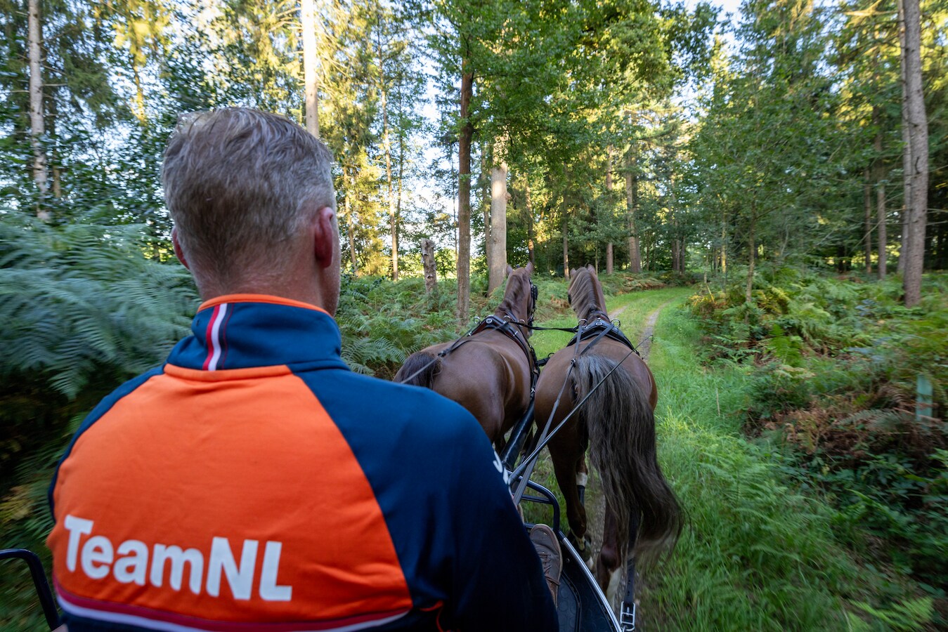 Noodgedwongen gooide ruiter Mathijn Wevers het roer volledig om: ‘Een geluk bij een ongeluk ...