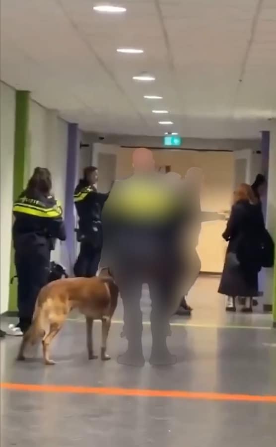 Een video van een arrestatie gaat viraal, maar wat is er nu echt te ...