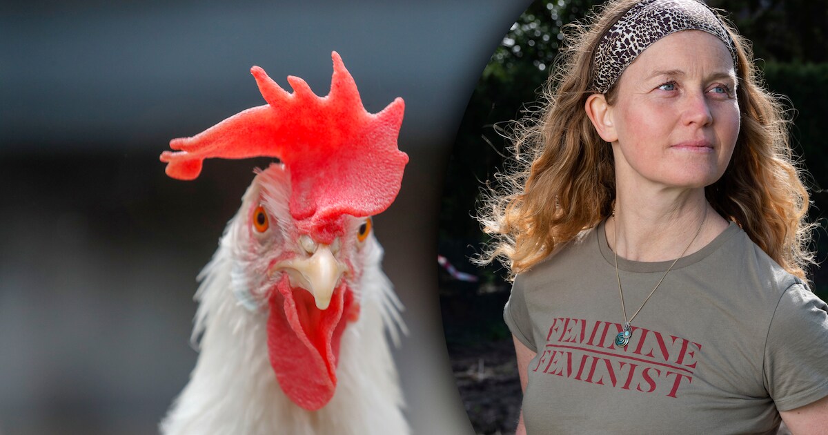 Veertig cent voor een ei van een kip die leeft in een mobiele caravan ...