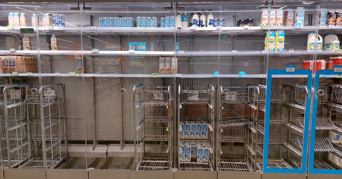 Pijnlijk lege schappen bij Albert Heijn: steeds meer boodschappen raken ...