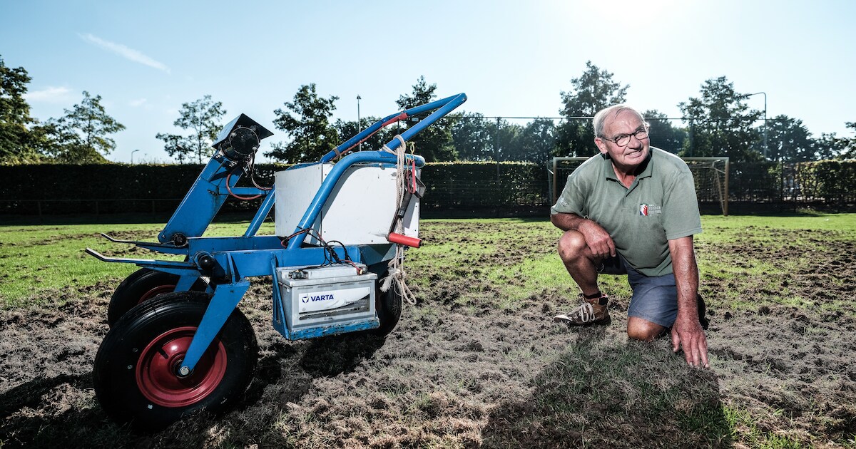 Engerlingen laten voetbalclubs sidderen: velden Terborg lange tijd ...