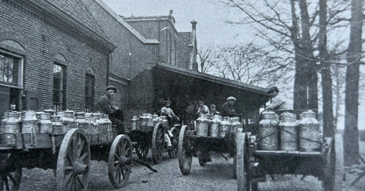 Als de melk besmet is, wordt de bacterie razendsnel verspreid | Plagen ...