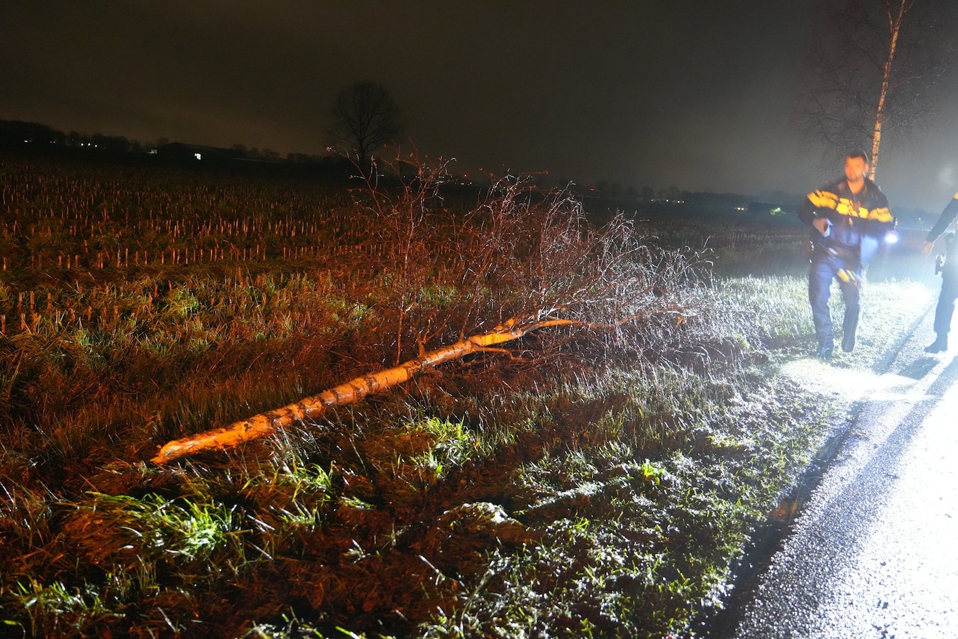 Vrouw raakt gewond bij ongeval in Rijen: auto botst tegen boom en slaat ...