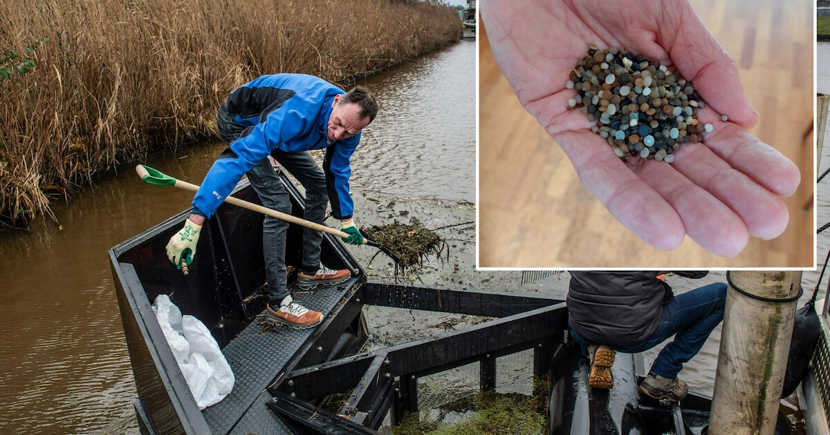 Alarm over duizenden plastic korrels in Bredaas water, mogelijk sprake ...