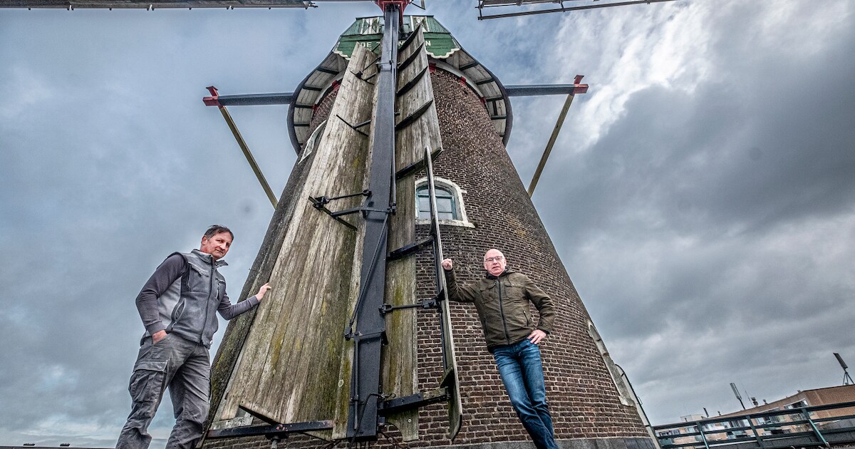 Nieuwe hoop voor Groesbeekse molen die voor het eerst meedoet aan ...