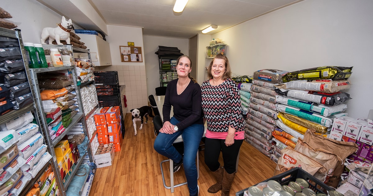 Geen geld om rond te komen, maar wel een hond: moet Enschede ook iets ...