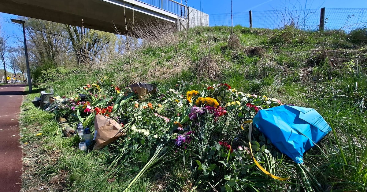 Scooterrijder (24) komt om bij verkeersongeluk in Arnhem; man uit ...