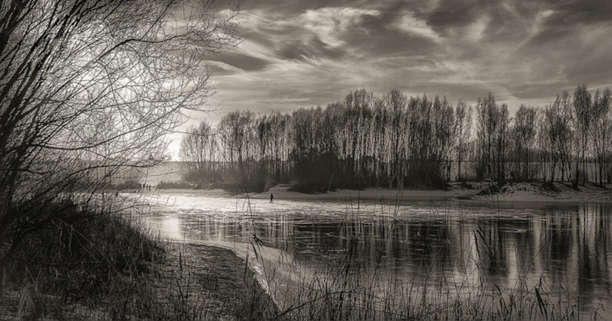 Hoendervanger maakt beste foto | Maas en Waal | De Gelderlander.nl