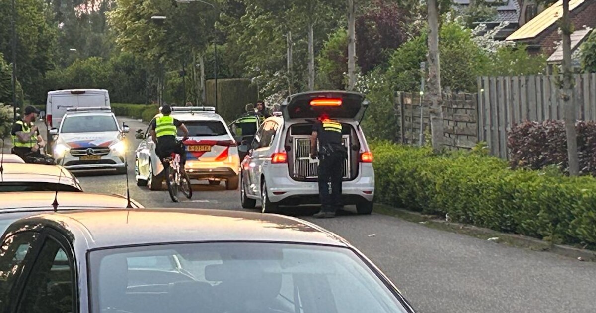 Politie houdt na meldingen van omstanders verward persoon aan in ...