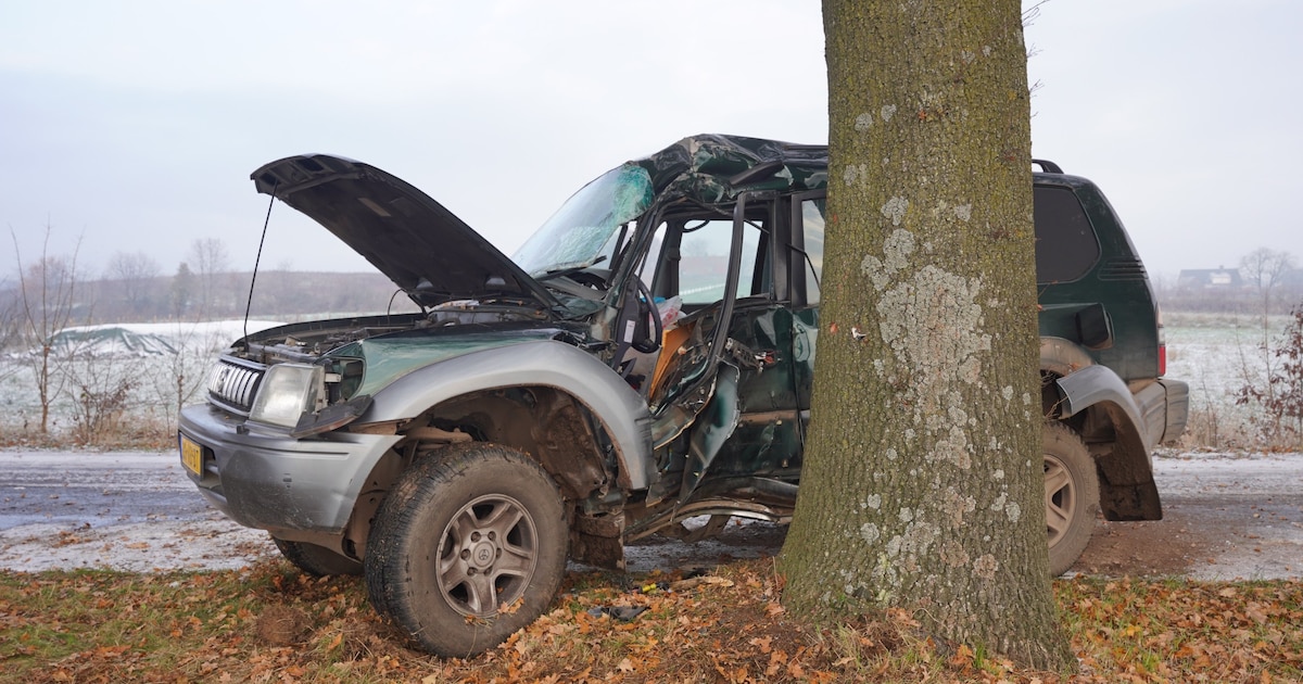 Oud-dierenarts Gijs Maris overleden na ongeval in Groesbeek | Berg en ...