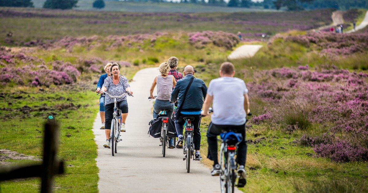 Geld voor kapotte paden in de natuur is op: ‘Wellicht moeten bezoekers ...