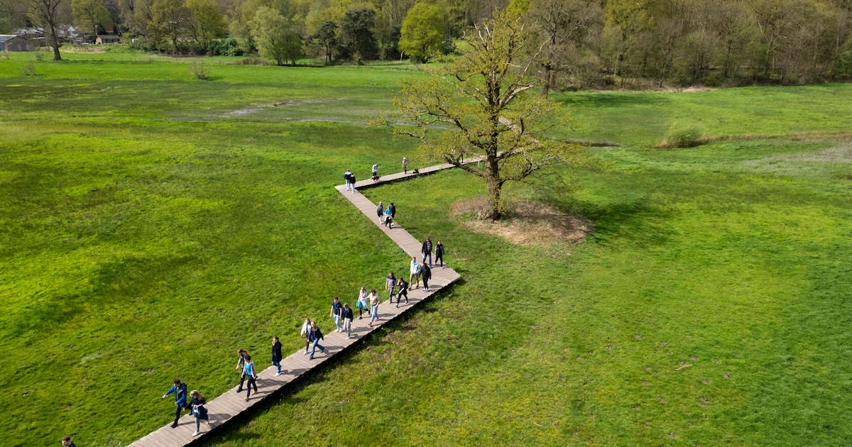 Lichtjeswandeling in Renkums beekdal | Renkum | De Gelderlander.nl