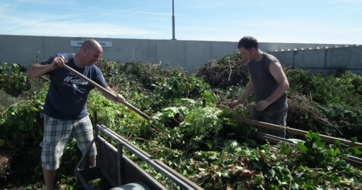 Boxmeer: ‘Wegbrengen grof tuinafval moet gratis blijven’ | Boxmeer | De ...