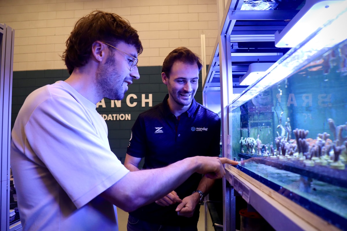 Jonge Bredase ‘koraalridders’ bouwen nu aan fabriek die riffen ...