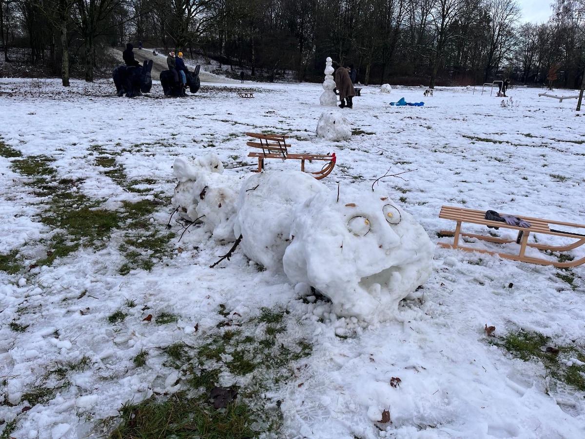 Apeldoorn vermaakt zich in de sneeuw: ‘Daar zit je dan!’ | Foto ...