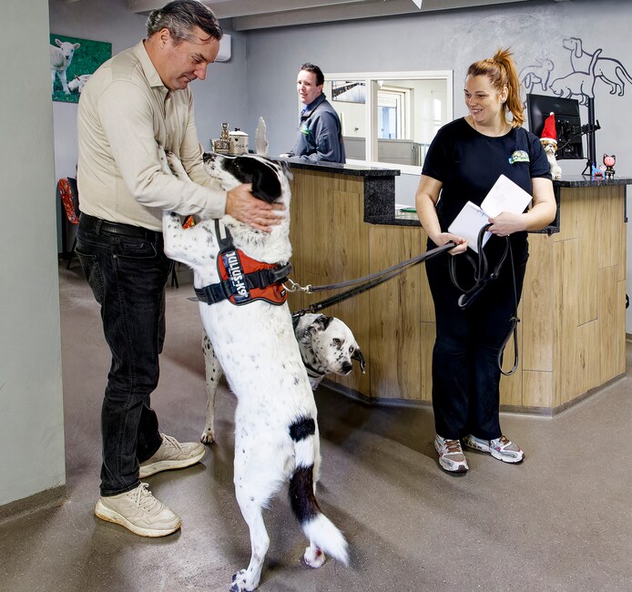 Paradijs voor bange honden tijdens de jaarwisseling: ‘Thuis kruipt ...