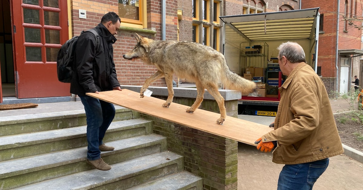 Vrijwilligers Bastei verhuisden 100.000 objecten en maken nu kans op ...