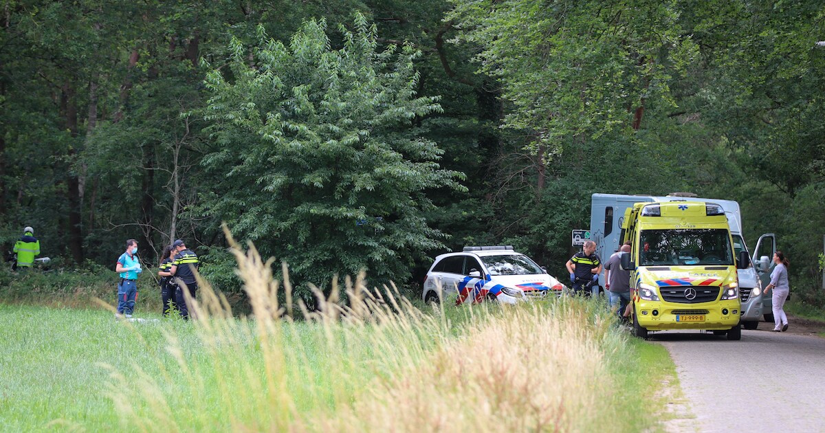 Ruiter overlijdt na val van paard in Putten | Regio | De Gelderlander.nl