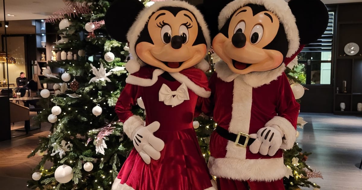 Kerstsfeerroute breidt uit: heel Mill doet mee dit jaar | Land van ...